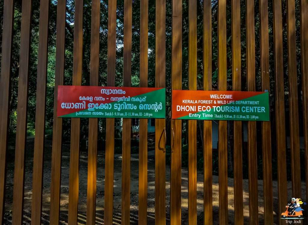 A Treasure inside the deep jungle, Dhoni falls, Palakkad - Trip Jodi