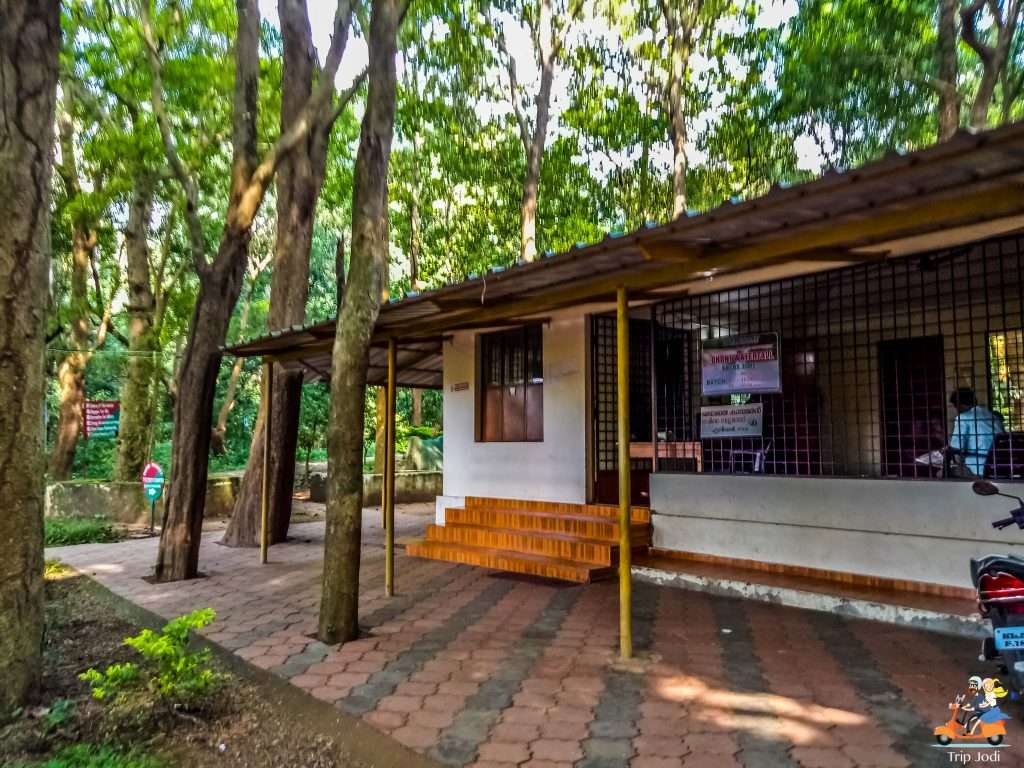 A Treasure inside the deep jungle, Dhoni falls, Palakkad - Trip Jodi