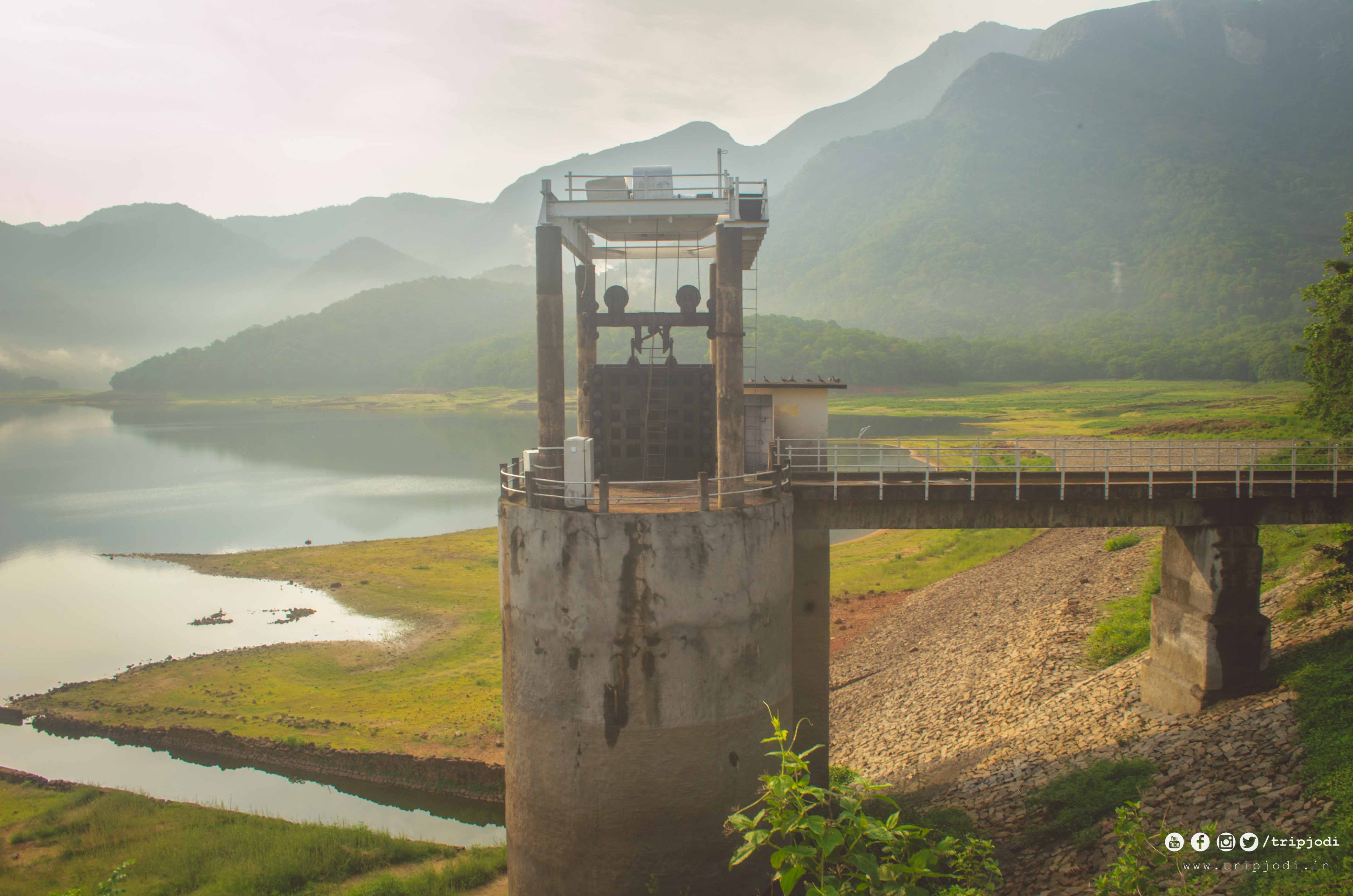 Nelliyampathy Hills, Palakkad, Kerala - A place to know the forest and ...