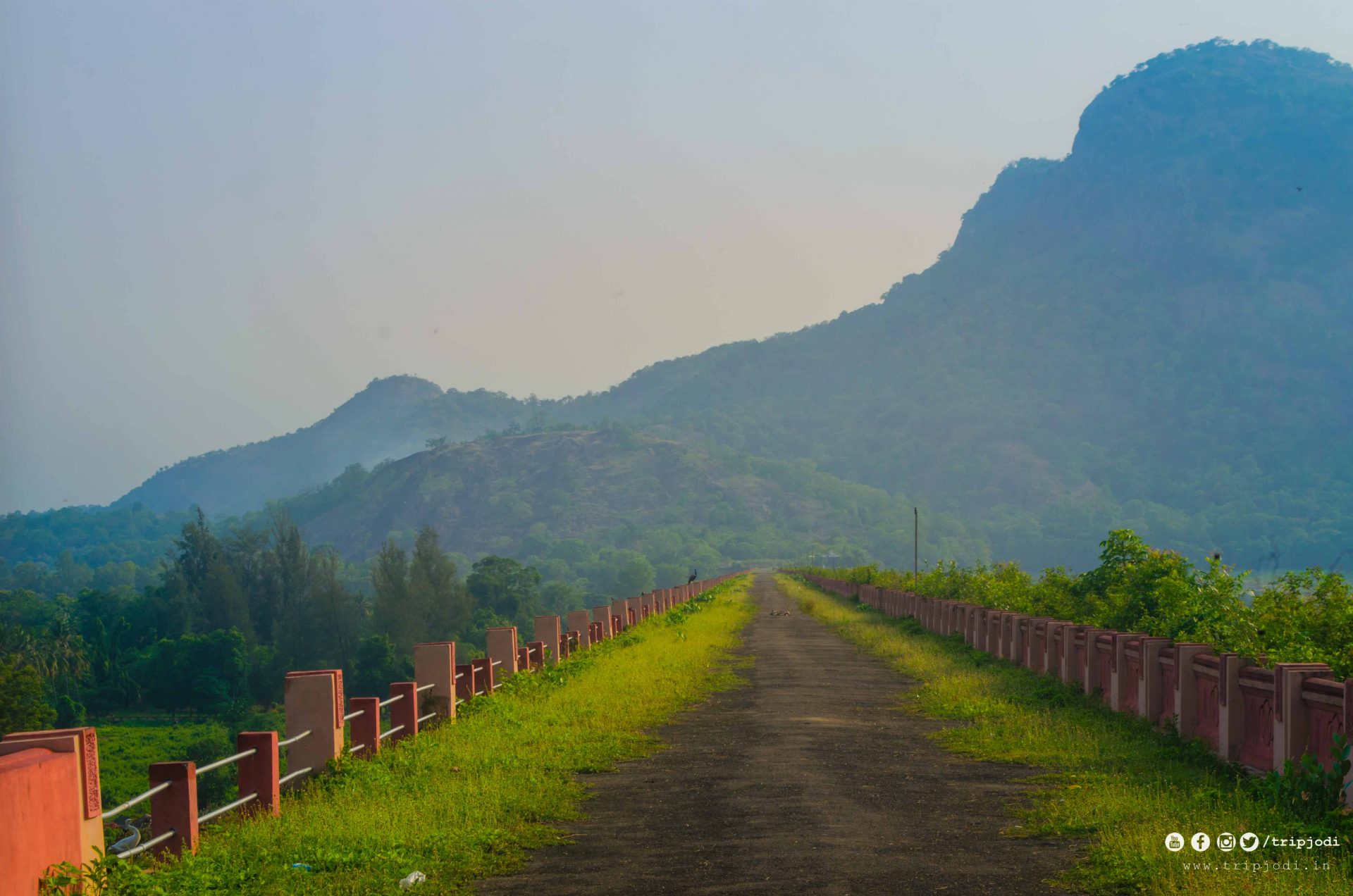 Nelliyampathy Hills, Palakkad, Kerala - A place to know the forest and ...