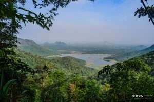 Nelliyampathy Hills, Palakkad, Kerala - A place to know the forest and ...