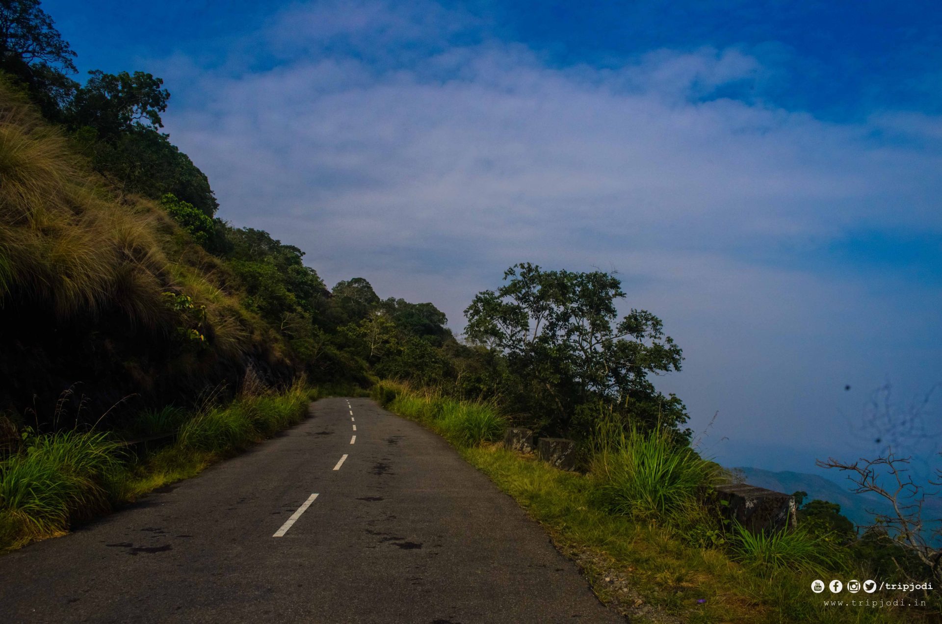 Nelliyampathy Hills, Palakkad, Kerala - A place to know the forest and ...
