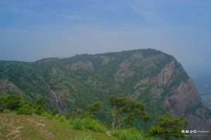 Nelliyampathy Hills, Palakkad, Kerala - A place to know the forest and ...