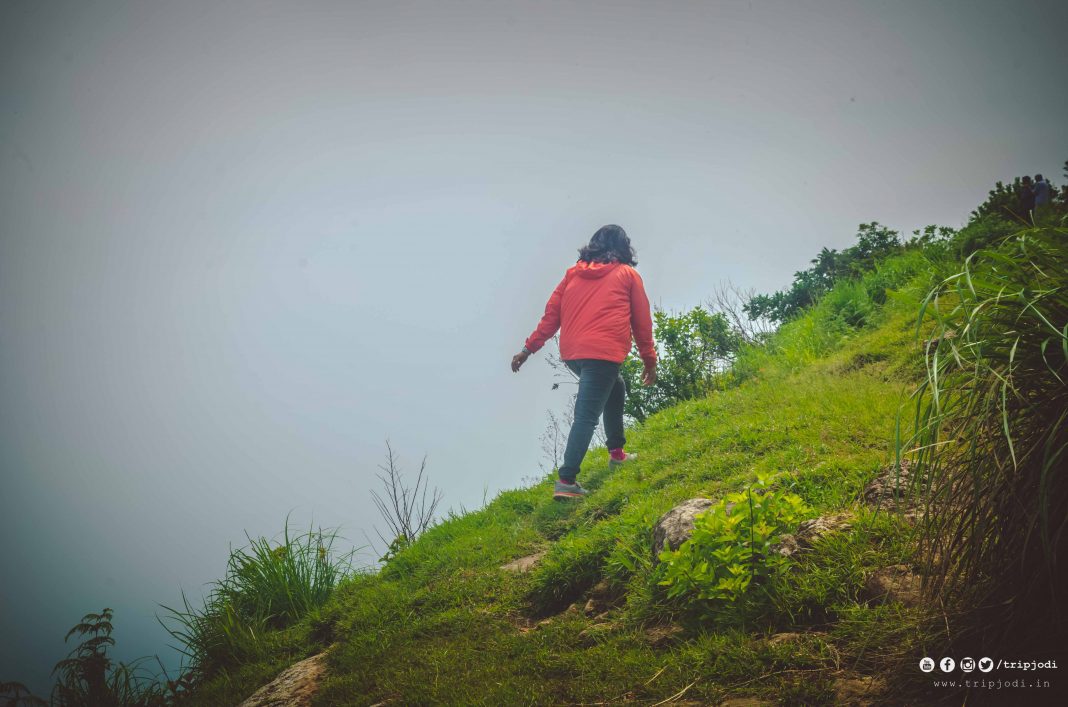 Nelliyampathy Hills, Palakkad, Kerala - A place to know the forest and ...