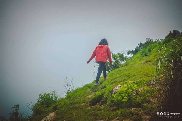 Nelliyampathy Hills, Palakkad, Kerala - A place to know the forest and ...