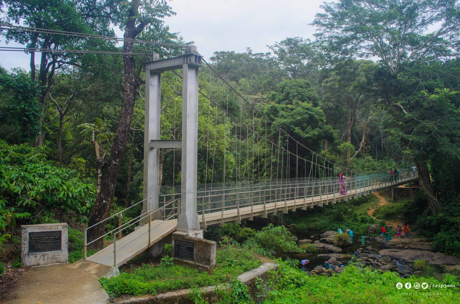Nelliyampathy Hills, Palakkad, Kerala - A place to know the forest and ...