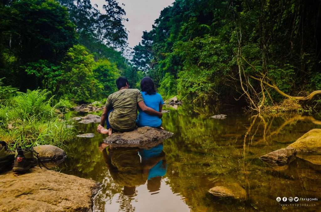 Nelliyampathy Hills, Palakkad, Kerala - A place to know the forest and ...